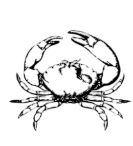 Inicio - Congelados Peymar Distribución