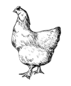 Inicio - Congelados Peymar Distribución